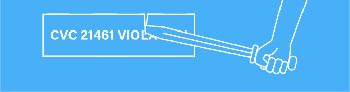 CVC 21461: Ticket Cost + What To Do