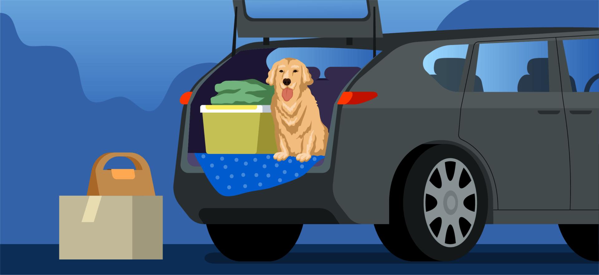 How Much Does A Cell Phone Ticket In California Cost? [2025] | Best ...